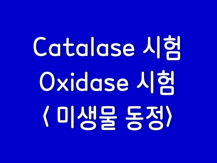 [미생물 동정시험] Catalase, Oxidase 시험/ Catalase/Oxy Test Kit 이용하기 : 네이버 블로그