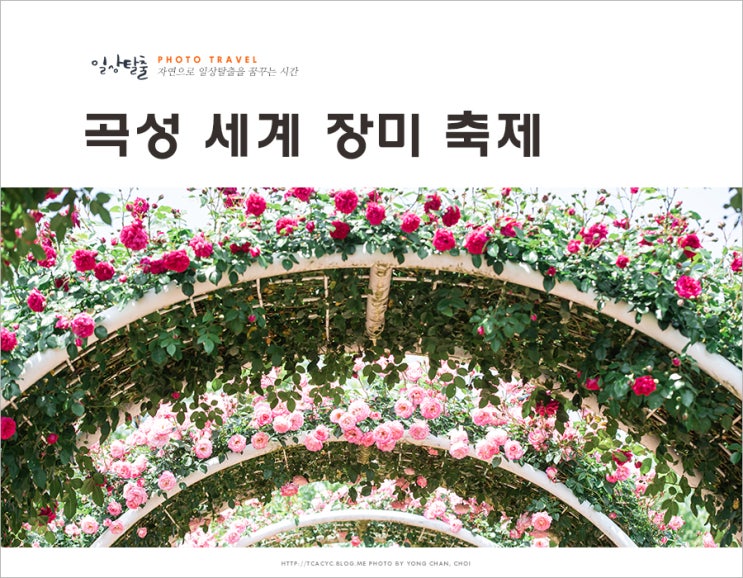 광주 근교 가볼만한곳 곡성 세계 장미축제가 열리는 곡성 기차마을 장미공원 네이버 블로그