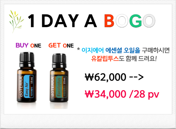 도테라 보고 프로모션 첫번째 A 이지에어오일유칼립투스오일 B 프랑킨센스터치마조람 오일 티트리터치 네이버 블로그