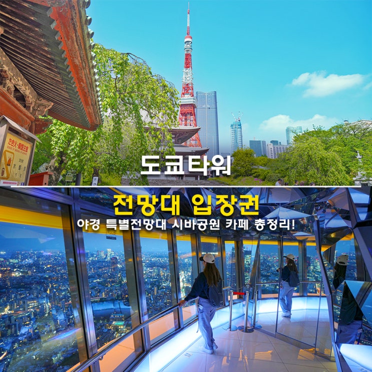 도쿄타워 전망대 입장권 야경 특별전망대 시바공원 카페 총정리 네이버 블로그