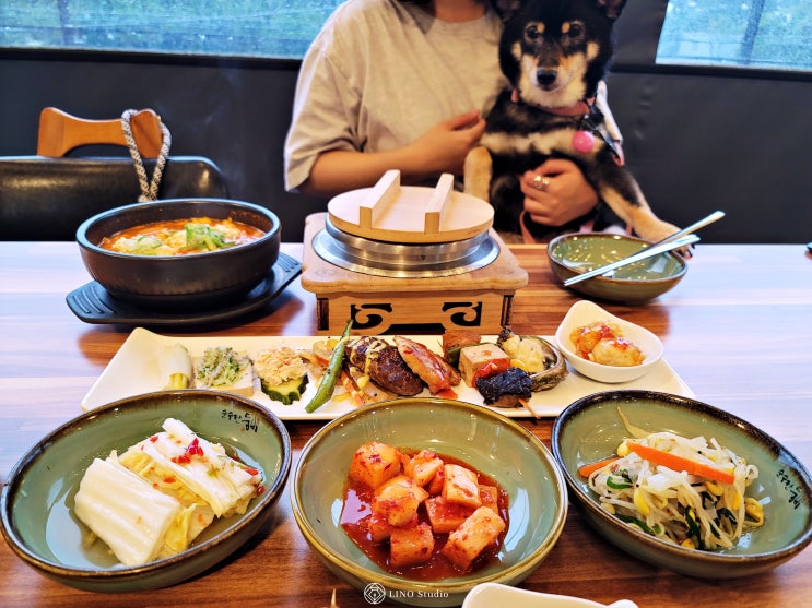 제주도 애견동반 식당 아침식사 해결 순수한둠비 순두부 찌개 네이버 블로그