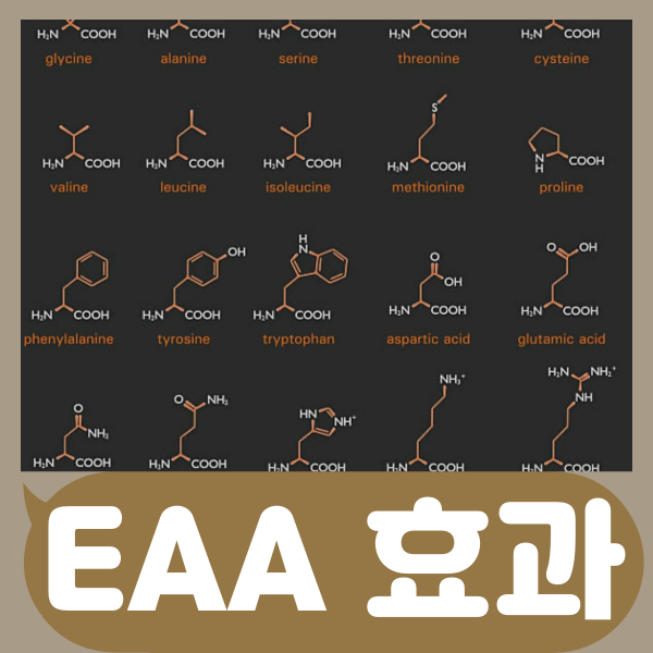 EAA 효과, 효능 및 부작용에 대해서 알아보아요. : 네이버 블로그