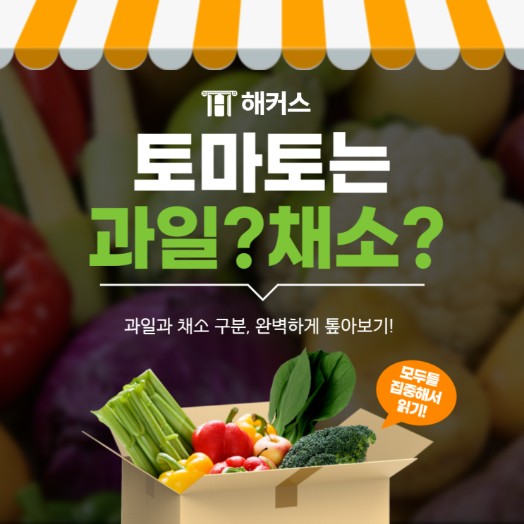 토마토 과일 채소 수박 과일 채소 과일 채소 차이 알아보자 네이버 블로그