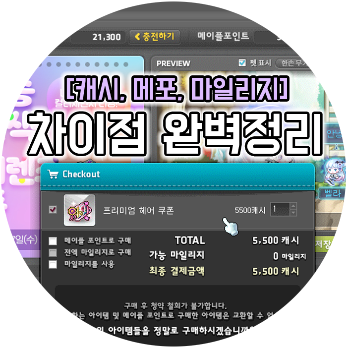 메이플스토리 넥슨 캐시 메포 마일리지 차이점 완벽정리 메소마켓 이용방법 메이플 포인트 마일리지 비교 메이플