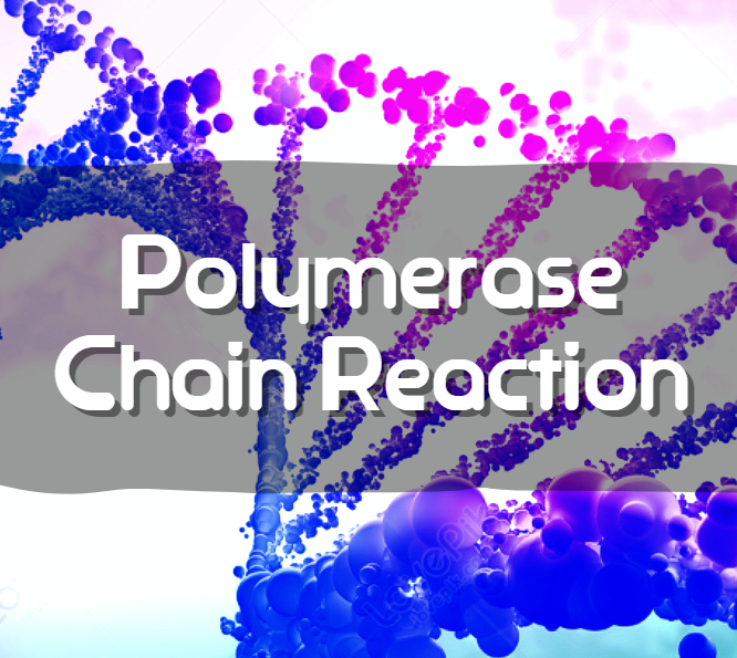 [실험정보] PCR(Polymerase Chain Reaction) : 네이버 블로그