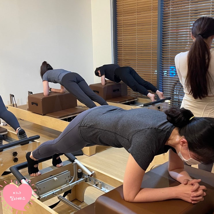 티나필라테스 문정점체형교정근력향상기구필라테스재활치료 저녁 61 그룹 필라테스 수업 네이버 블로그