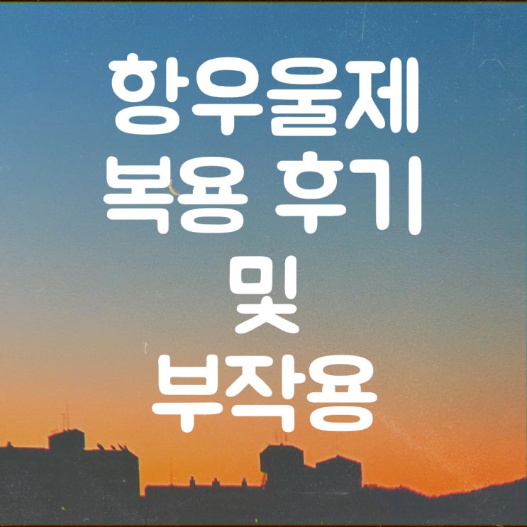 내가 먹었던 렉사프로 복용 후기 기억 렉사프로 부작용 네이버 블로그