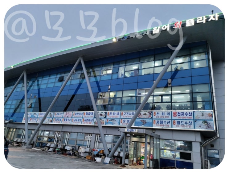 목포 북항 회센터 직접 골라 싱싱한 회를 믿고 먹을 수 있는 윤이네수산 네이버 블로그