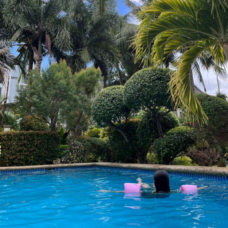 필리핀 보홀 가성비 숙소 알로나 골든팜리조트 후기 : 디럭스룸 2박 수영장 조식 정보 : 네이버 블로그