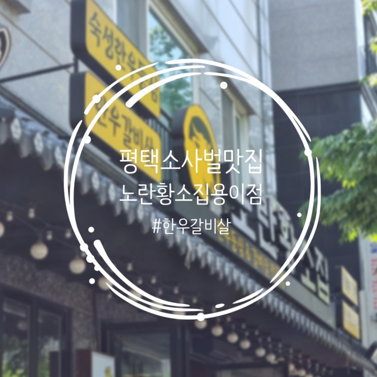 평택 소사벌 소고기 맛집 노란황소집용이점 평택고기집 추천 네이버 블로그