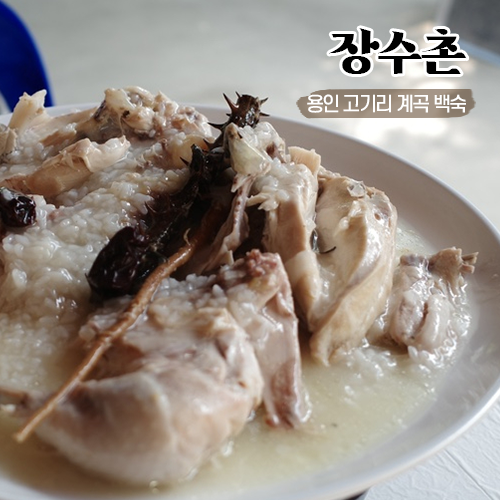 용인 계곡 백숙 장수촌 고기리 근처 누룽지닭백숙 유명하고 맛있는 곳 네이버 블로그