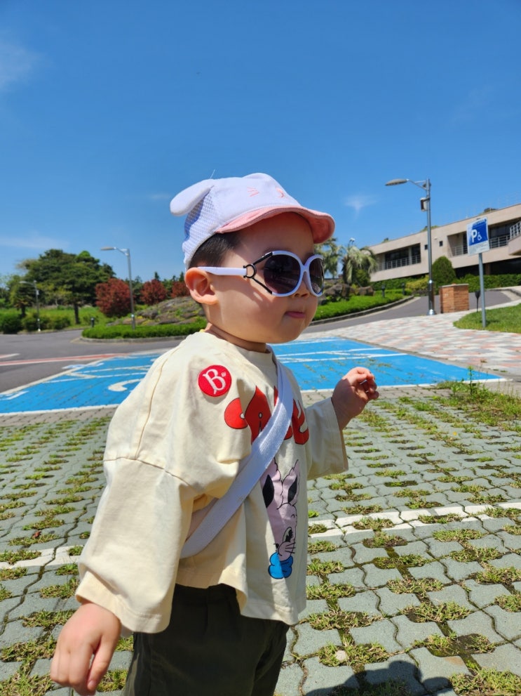 제주 구좌 제주 한달 살기 6박7일 세번째 숙소 가성비 좋은 덕천연수원 네이버 블로그
