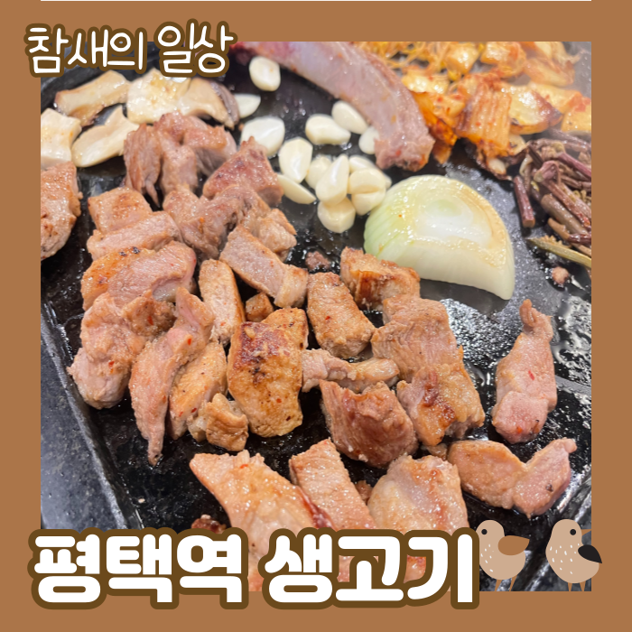 평택동 고기집 추천 평택역 생고기 돌판에 구워주는 맛집 네이버 블로그