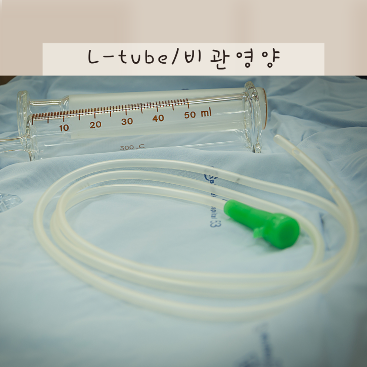 L Tube 간헐적 위관영양 비위관 삽입 목적 길이 적응증 알고 있자 네이버 블로그