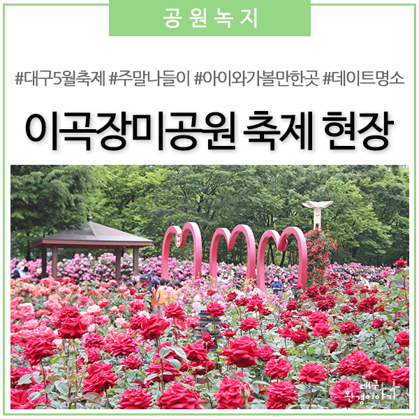 대구 주말 가볼만한 곳 이곡장미공원 「장미꽃 필 무렵」 축제 생생한 현장 소식519~521 네이버 블로그