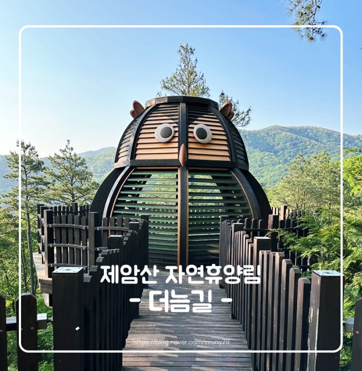 제암산 자연휴양림 더늠길 보성 여행 생태탐방로 숲을 진심으로 느끼다 다시 걷고 싶은 숲길 네이버 블로그
