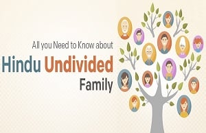 (인디샘 컨설팅) 인도의 HUF(Hindu Undivided Family: 힌두교의 미분리 가족)와 절세 : 네이버 블로그