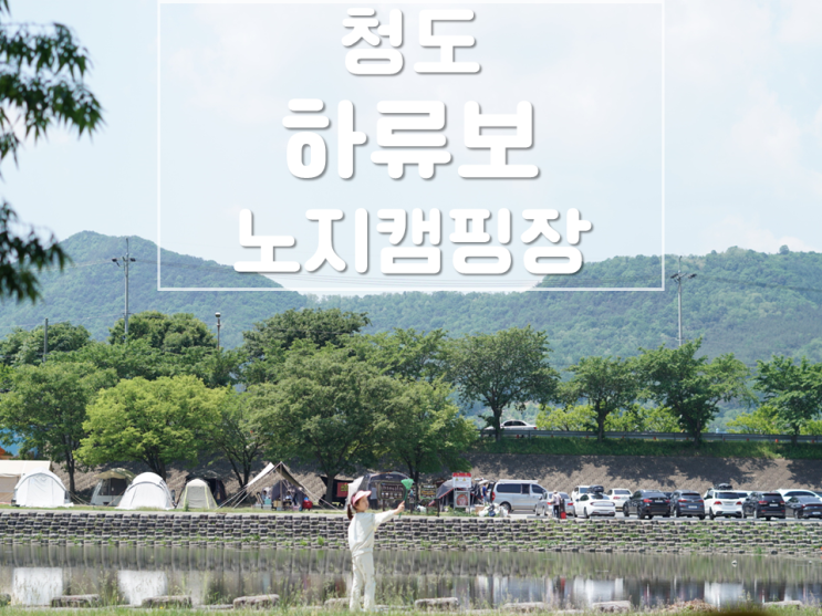 청도 하류보 야영장 노지캠핑 그늘많고 물고기도 있어 자연속에 뛰놀기 좋은곳 신화랑풍류마을 체험과 놀이터도 도보로 가능
