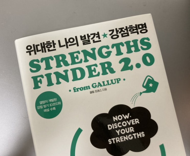 강점혁명 5가지 나의 강점은 무엇일까 최상화 책임 발상 긍정 개별화 ‘위대한 나의 발견 강점혁명 책 리뷰 네이버 블로그