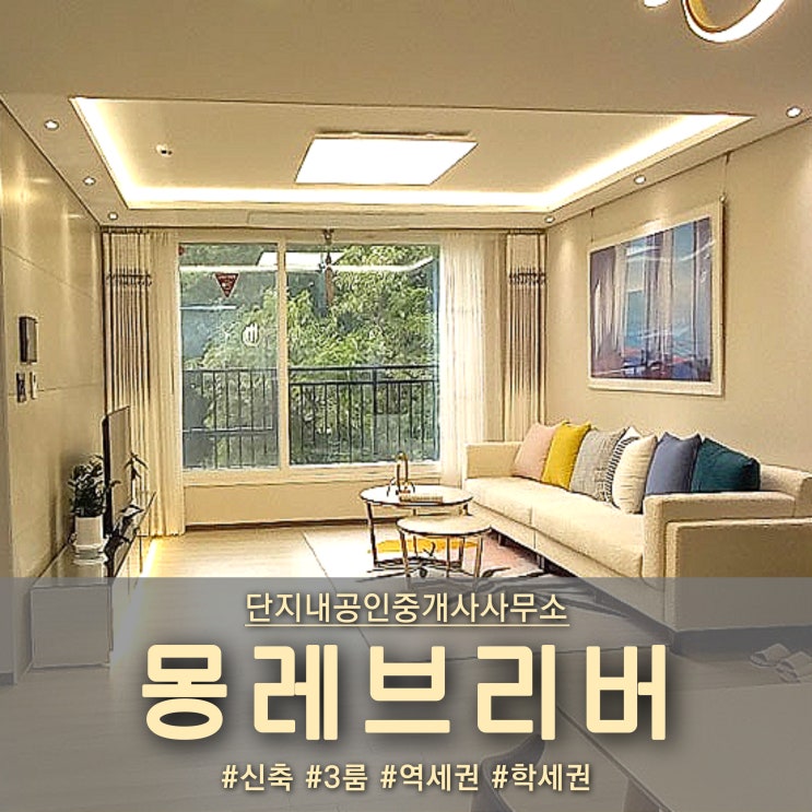 남양주 진접역 도보역세권 신축빌라 몽레브리버 단지내공인중개사사무소 네이버 블로그