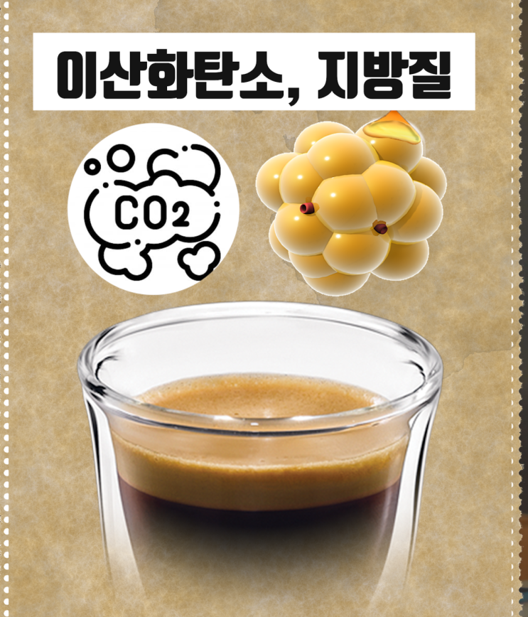 SCA바리스타자격증 이 글을 다 읽어보고 알아보세요. (유료강의) : 네이버 블로그