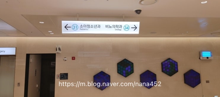 Bcg 접종당일 주의 시기 은평성모병원 신생아 Bcg 예방접종 B형간염2차 주사 Feat 국가 예방접종 지원사업