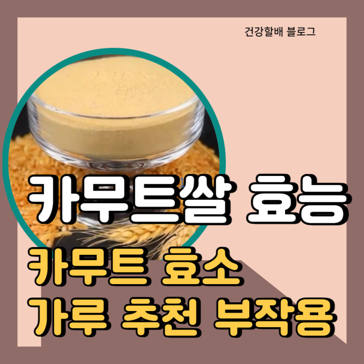 카무트 쌀 효능 카무트 효소 가루 추천 부작용 네이버 블로그