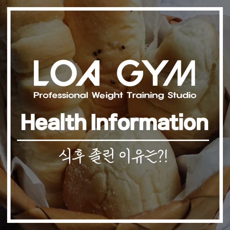 종암동pt 로아짐 춘곤증이 아닌 식후 졸린 이유는 네이버 블로그