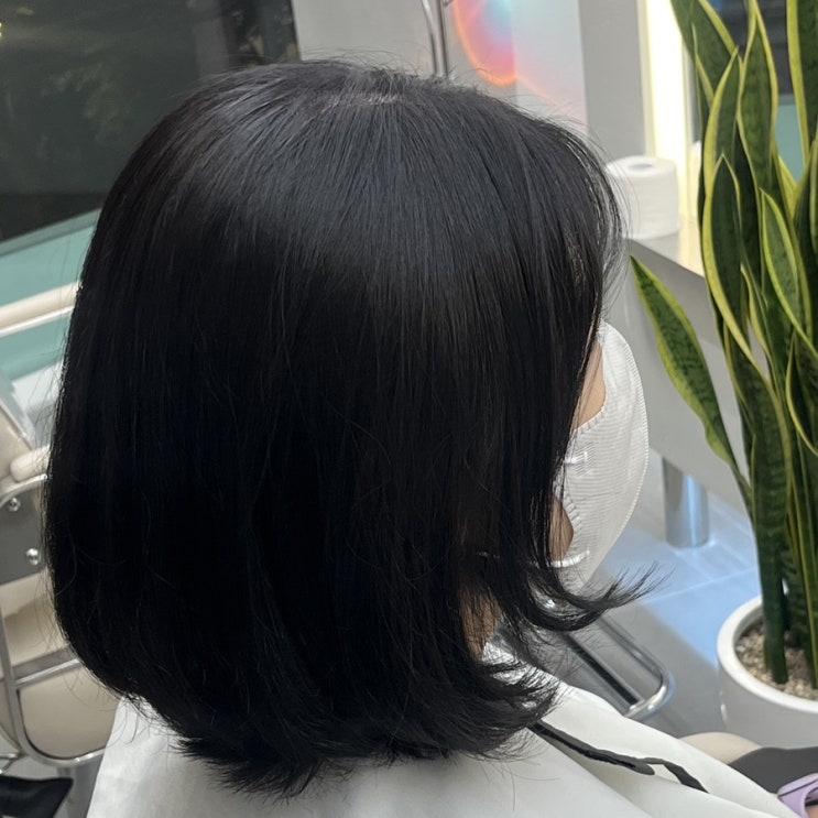 홍대미용실 추천 홍대 보그헤어 염색 찐리뷰가격정보 포함 네이버 블로그