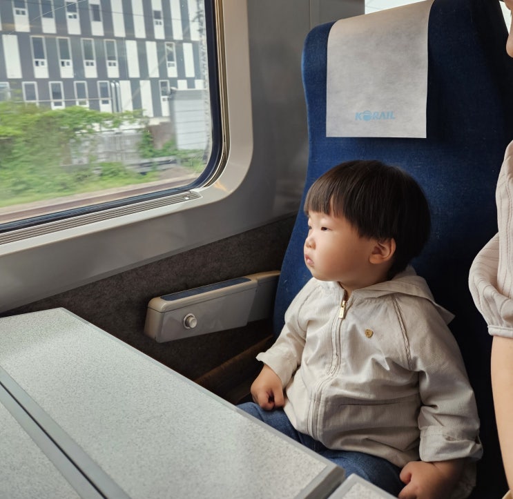 17개월 아기랑 기차여행! 수원에서 대구까지 ktx 4인 동반석으로 당일치기 : 네이버 블로그