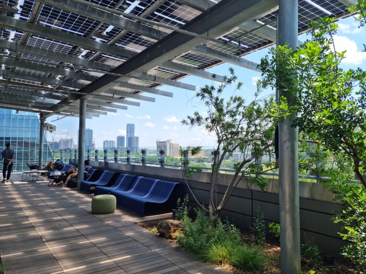 [미국텍사스오스틴-도서관투어]미국생활꿀팁!도서관 활용하기(회원카드만들기,프로그램,TexShare Card)/라운드락 도넛맛집 ...