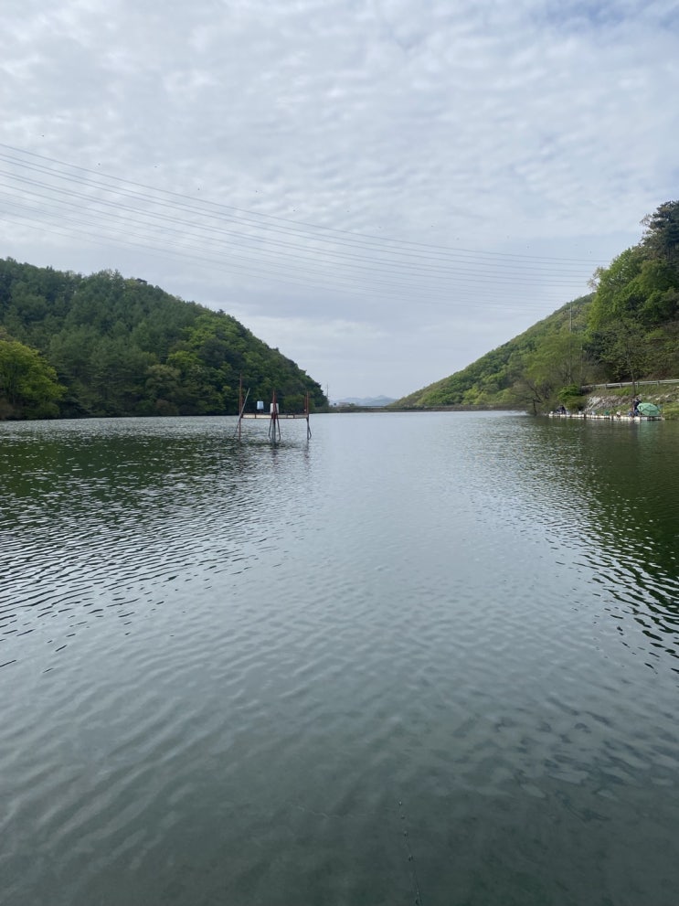 "양주 신암저수지 / 배스 낚시 / 이고을 사용후기" : 네이버 블로그