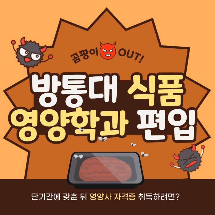 방통대 편입 학점 조건 갖추고 식품영양학과 진학 영양사 시험 응시 영양사 자격증 취득 네이버 블로그