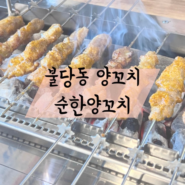 불당동양꼬치 순한양꼬치 양다리걸쳐 네이버 블로그