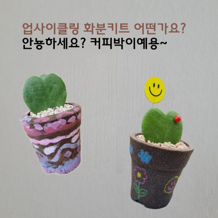 환경교육 키트 제주 업사이클 커피박 커피클레이 초등학교 원예키트 제주 업사이클링 공방 바이해인 네이버 블로그