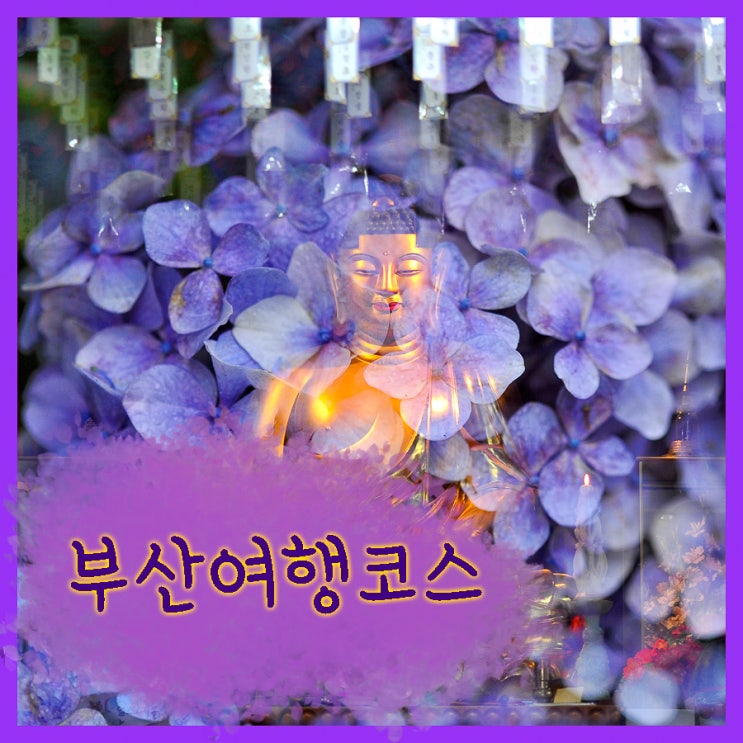 태종대 수국축제 다누비열차 코스 및 부산 송도 암남공원 용궁구름다리 네이버 블로그
