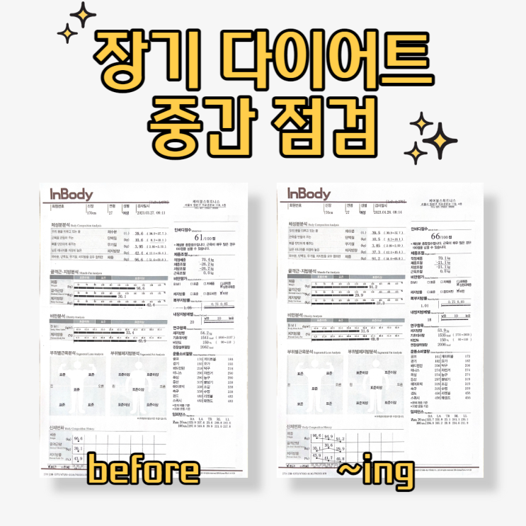 신월동 Pt 전혜련 트레이너 Pt 회원님 장기 다이어트 중간 점검 인바디 변화 과정 네이버 블로그