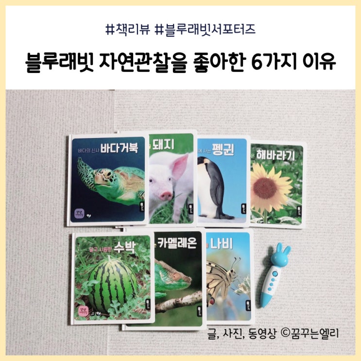 블루래빗 전집 자연관찰 추천 아이가 좋아했던 6가지 네이버 블로그