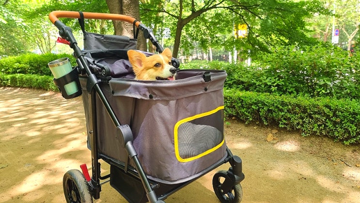 강아지 유모차 대형견 애견 개모차 크로노 매그넘 다견가정에도 잘 맞아 : 네이버 블로그
