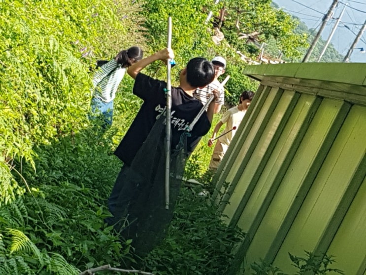 농촌체험교육농장 쉼터에서 만나다 신나는 초록숲속 건강 전통놀이 와전통요리 학생들은 네이버 블로그