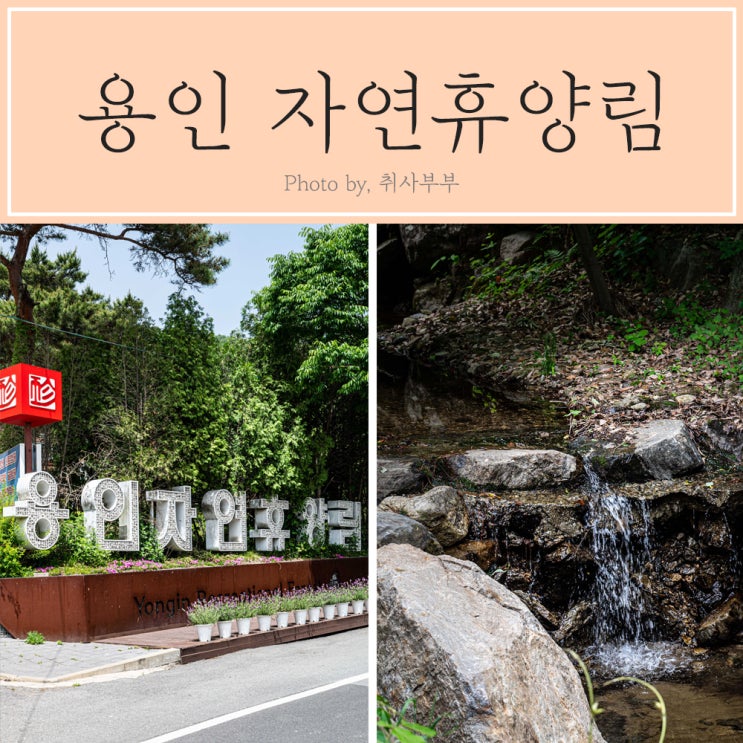 용인자연휴양림 예약부터 피크닉 볼거리즐길거리 한번에정리짚라인휴양봉숙소 네이버 블로그