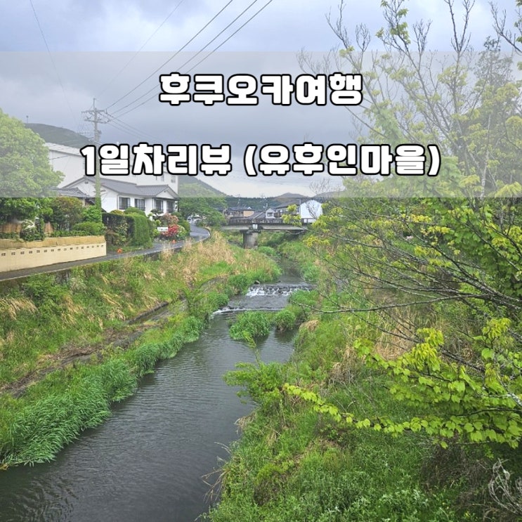 ️일본여행 후쿠오카3박4일자유여행 유후인가볼만한곳긴린호수플로랄빌리지금상고로케 네이버 블로그