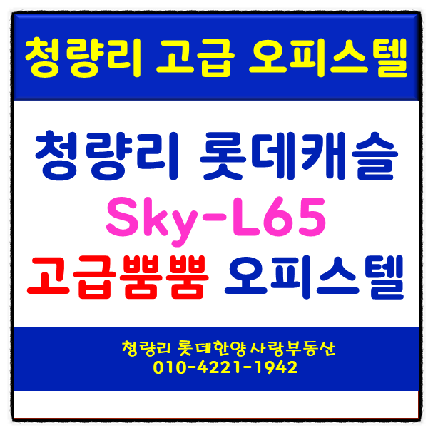 멋짐뿜뿜 청량리역롯데캐슬SKY-L65오피스텔을 소개합니다. (feat 청량리 사랑부동산) : 네이버 블로그