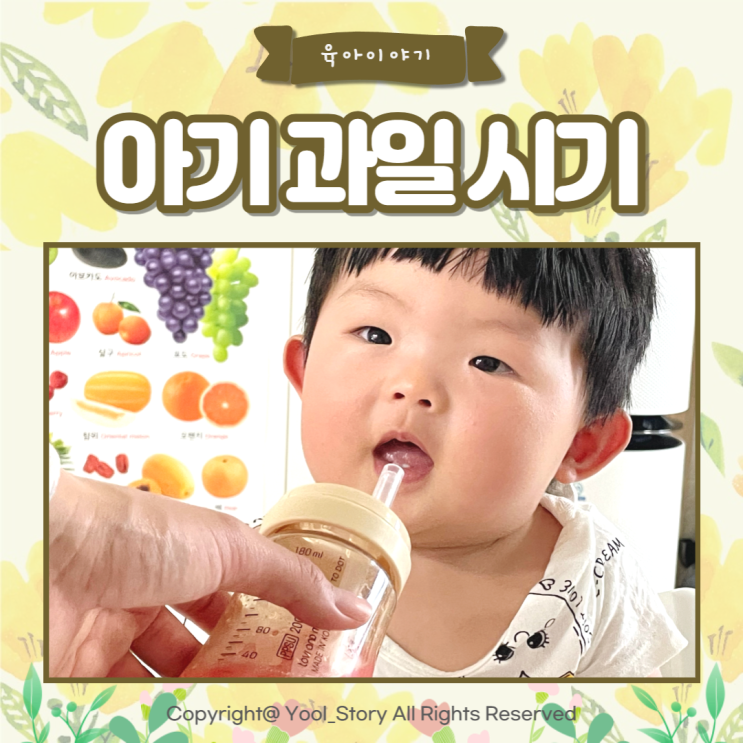 6개월 7개월 8개월 9개월 10개월 아기 과일 시기 수박은 언제부터 네이버 블로그