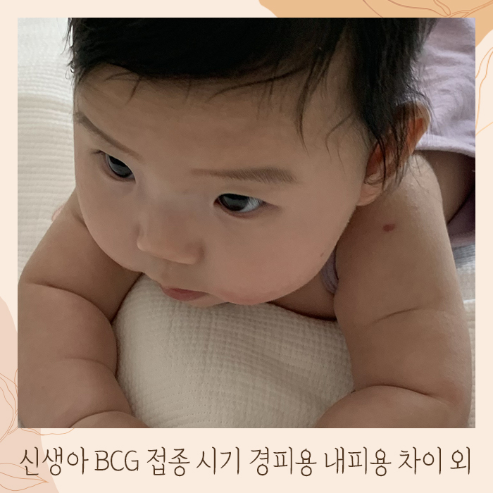 신생아 Bcg 경피용 피내용 접종 시기 차이 가격 흉터는 네이버 블로그