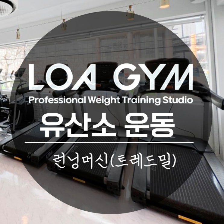 월곡역헬스장 로아짐 배다은트레이너 유산소 운동의 기본 런닝머신 사용방법 네이버 블로그