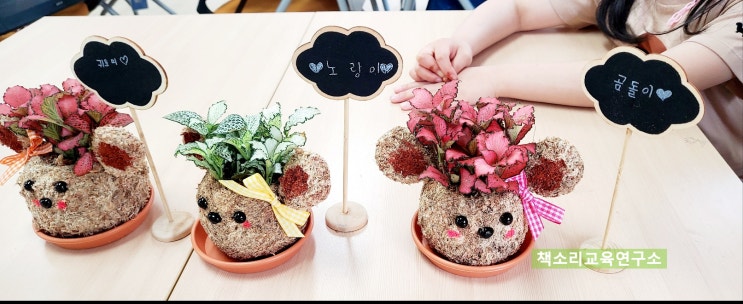 인천부평도서관 5월가정의달프로그램 초등그림책원예테라피 반려식물곰돌이토피어리만들기 피토니아핑크스타 화이트스타토피어리 용인수지동탄