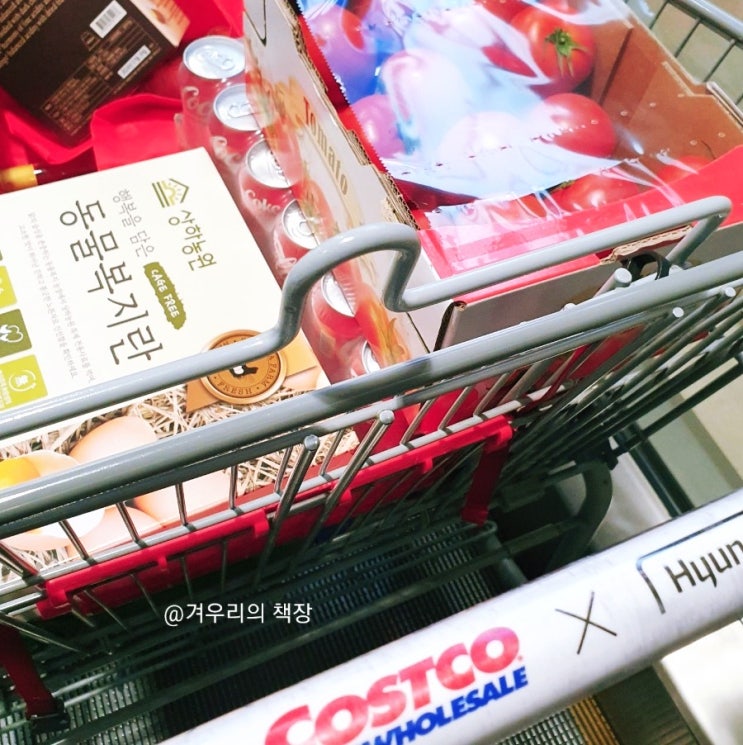 하남 코스트코 5월 할인 상품 장보기 코스트코 하남점 세일 목록 휴무일 영업시간 네이버 블로그