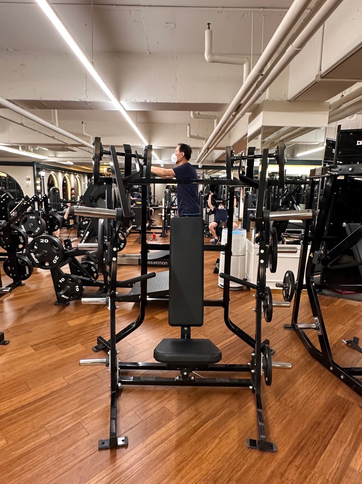 [해머스트랭스] 레터럴 벤치프레스 (iso-lateral bench press) : 네이버 블로그