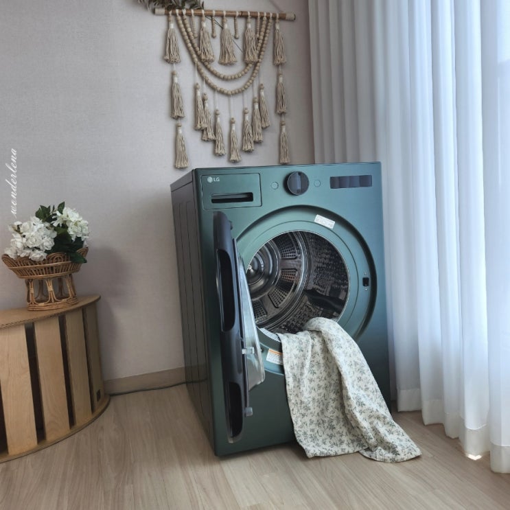 건조기 실내설치 LG 트롬 오브제컬렉션 RD21GS : 네이버 블로그